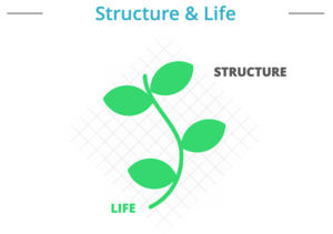 Your People Plan: a strategic way to develop your team this year ...